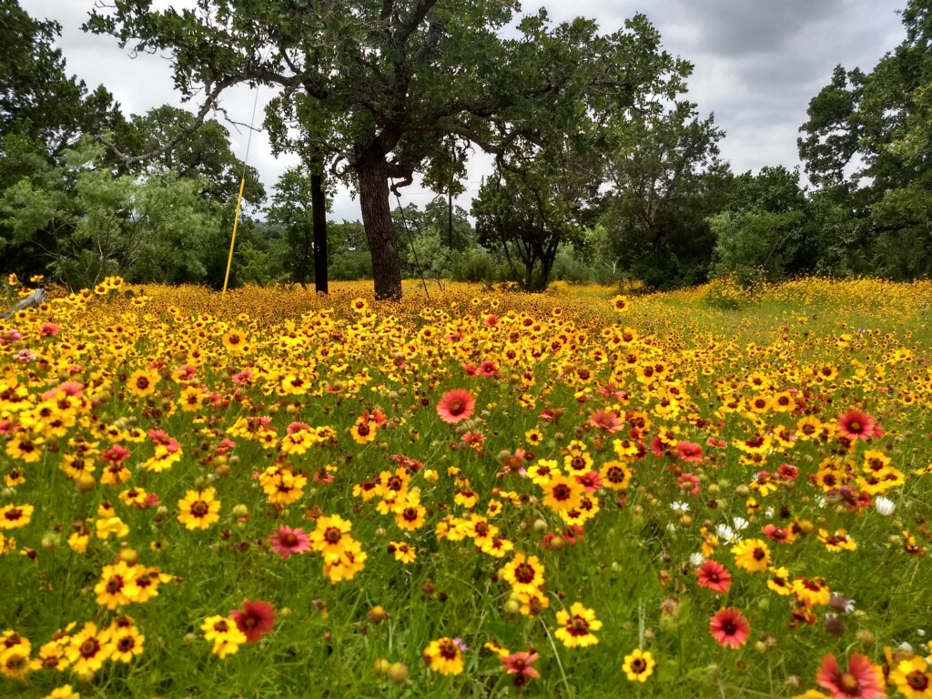 imagejpeg_0 – Rocky Hollow Ranch